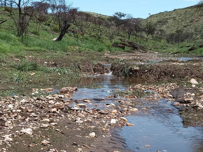 Home [www.kleinaub.com]